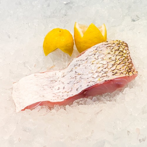 White Snapper Fillet