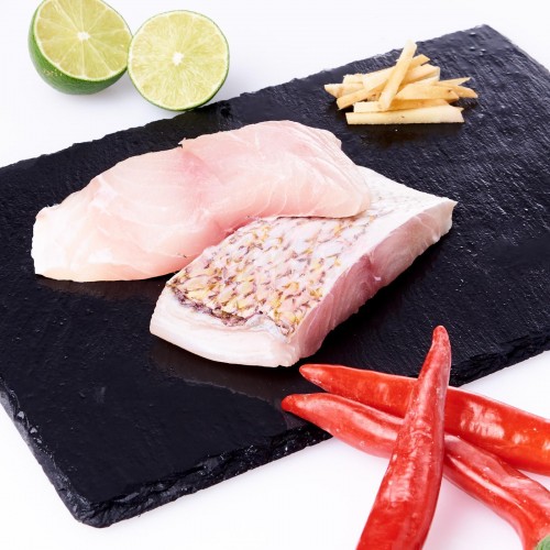 White Snapper Fillet