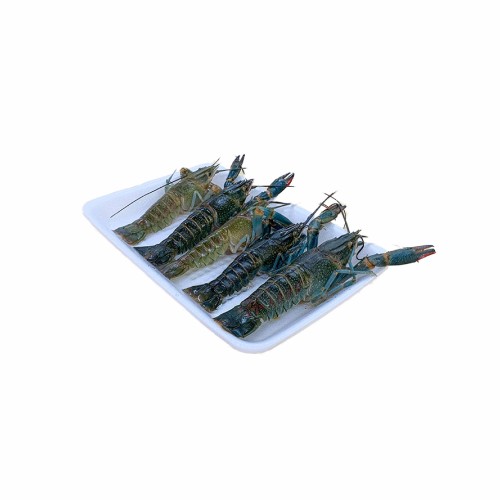 Online Seafood Delivery | Fresh Seafood Delivery Online | Aw's Market