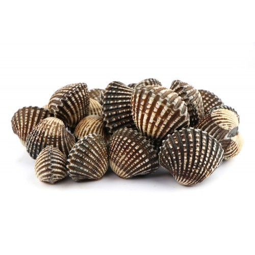 Online Seafood Delivery | Fresh Seafood Delivery Online | Aw's Market